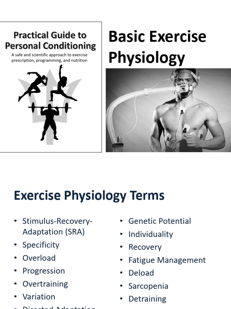 Basic Exercise Physiology | PDF