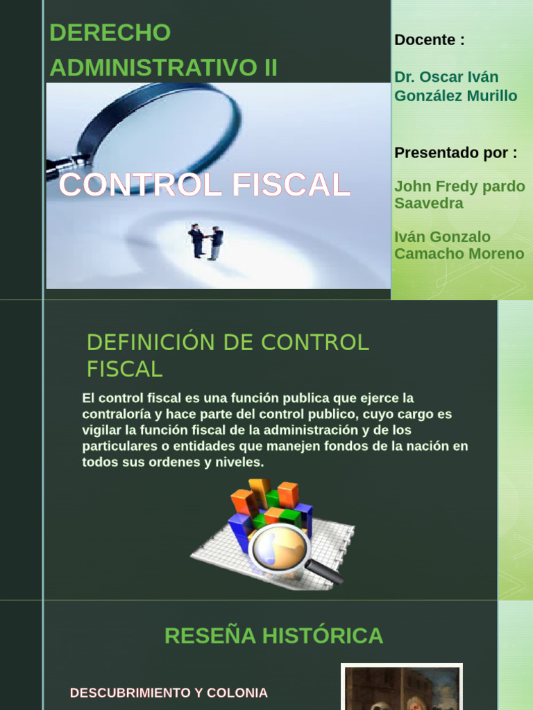 Control Fiscal | PDF