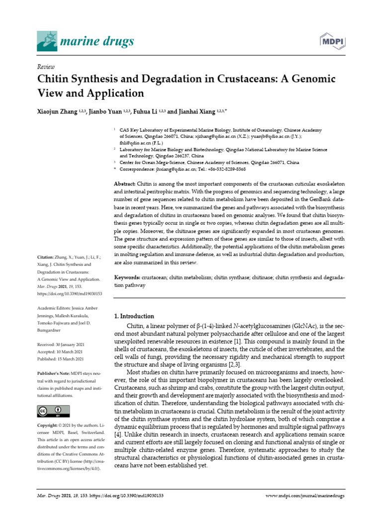 Chitin Synthesis and Degradation in Crustaceans A | PDF
