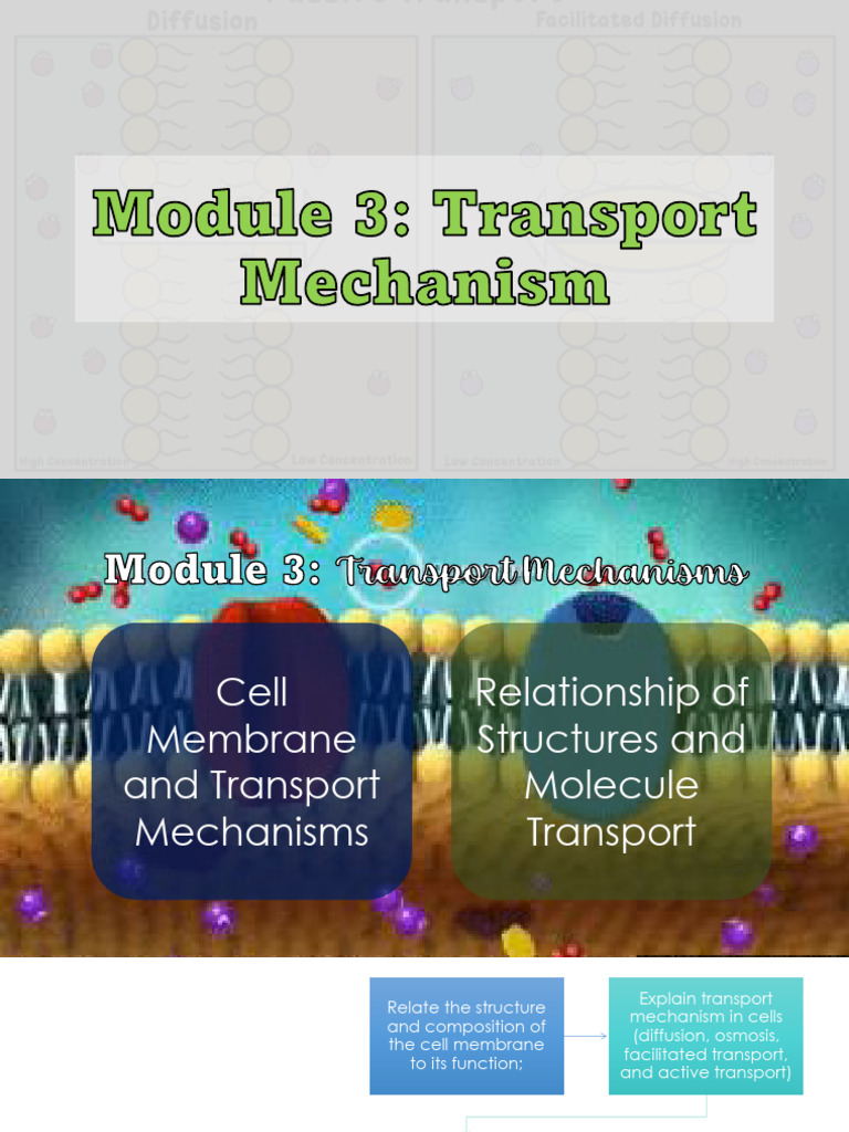 General Biology 1 Module 3 | PDF