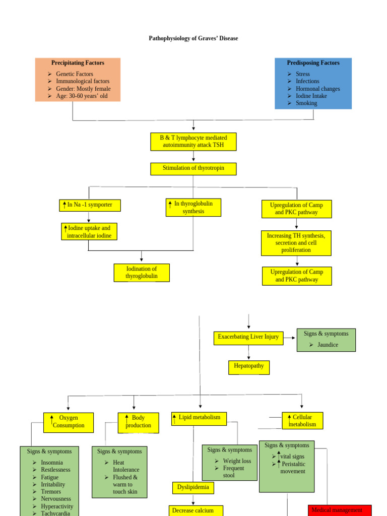 Pathophysiology of Graves Final | PDF