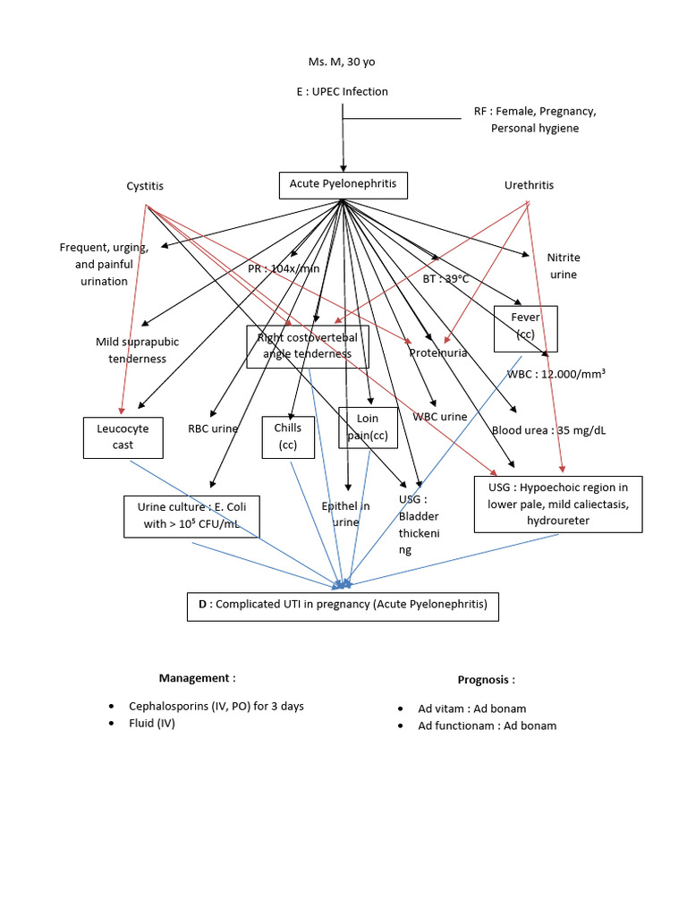 Case 6 Acute Pyelonephritis (FIXXX) | PDF
