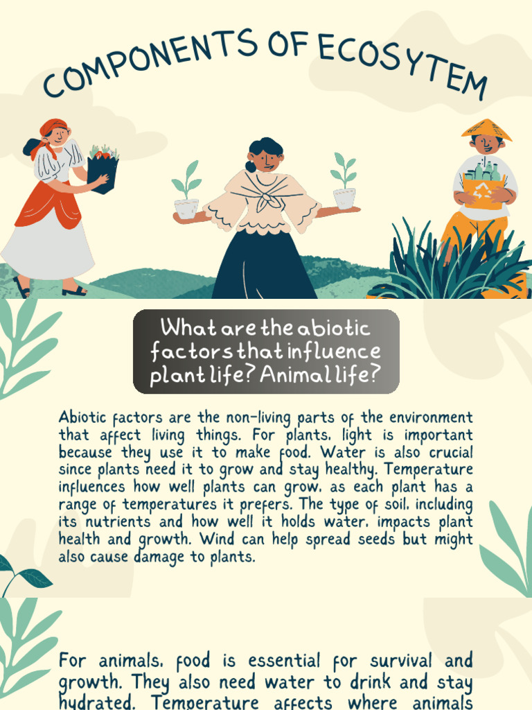 Components of The Ecosystem | PDF