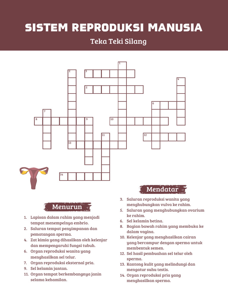 Sistem Reproduksi Manusia Lembar Kerja Teka Teki Silang Cokelat Mawar Gelap Ilustratif | PDF
