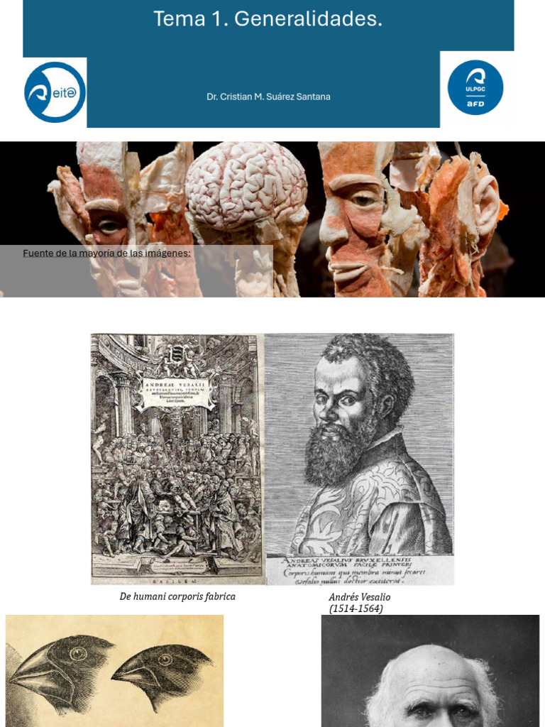 Tema 1 Generalidades GIB-EF | PDF