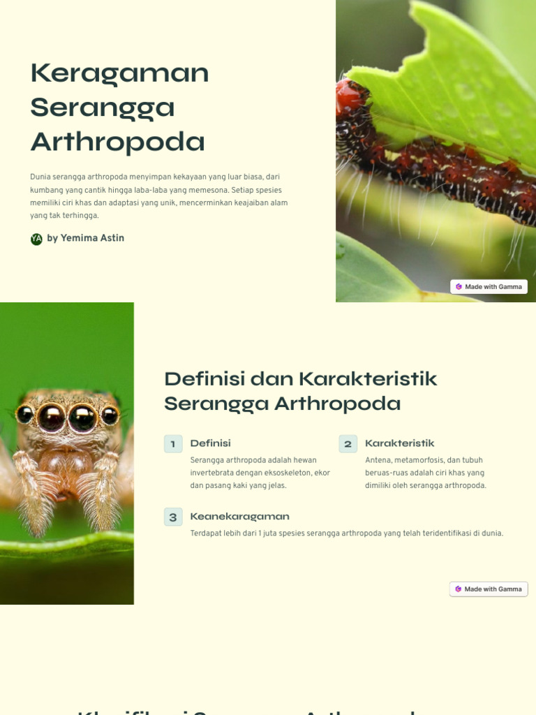 Keragaman Serangga Arthropoda | PDF