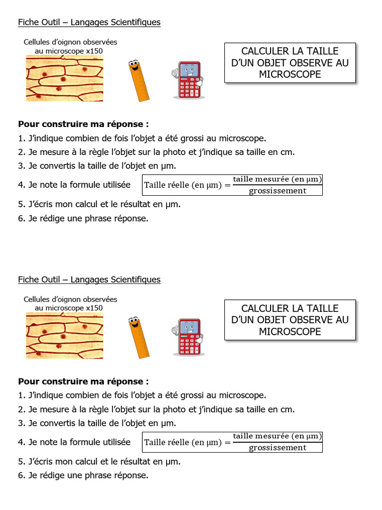 Fiche Outil Calculer 2.0 | PDF