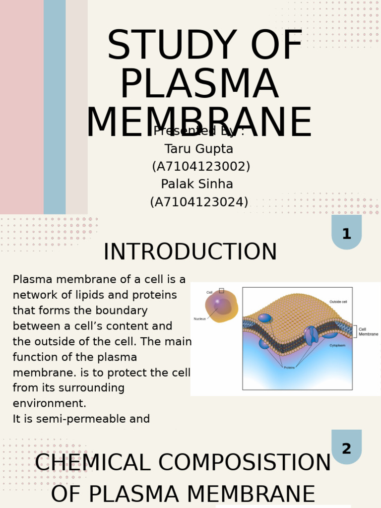 Study of Plasma Membrane | PDF