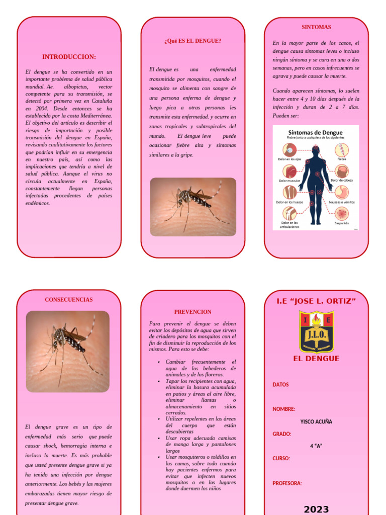 Triptico Del Dengue | PDF