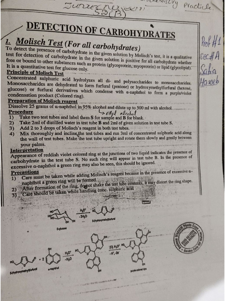 Biochem Practical Material | PDF