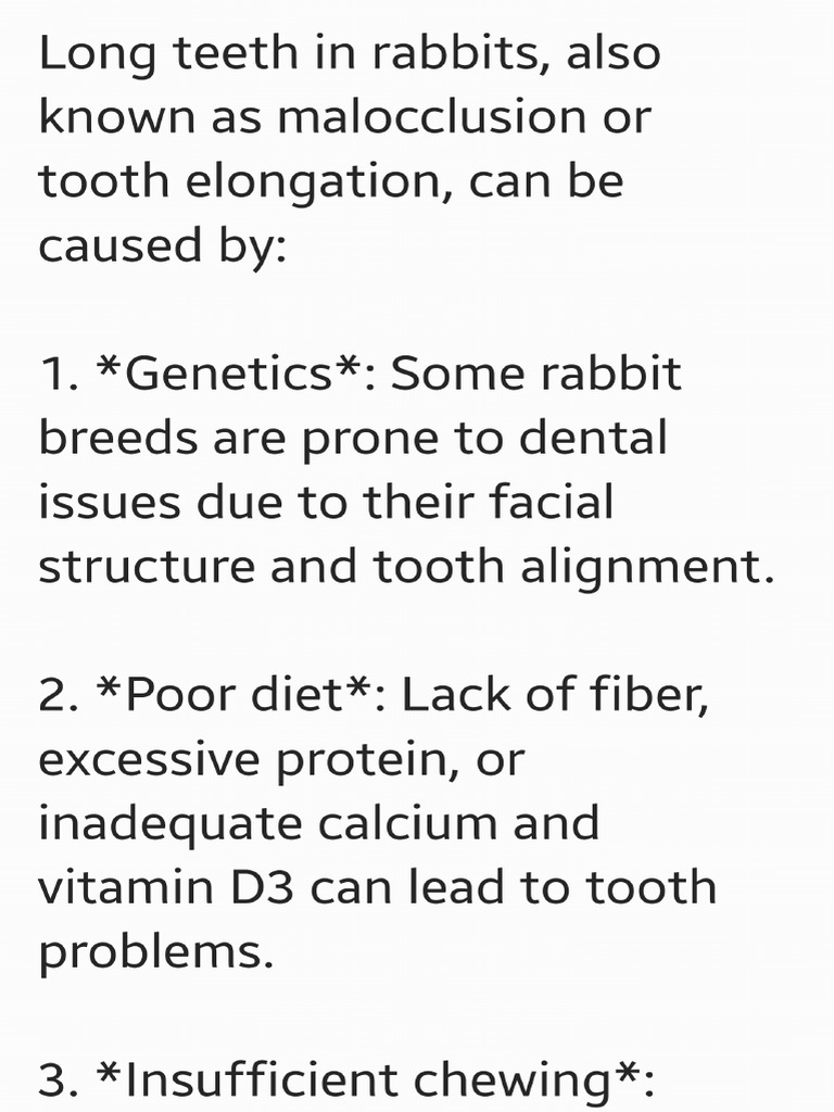 Long Teeth in Rabbits | PDF