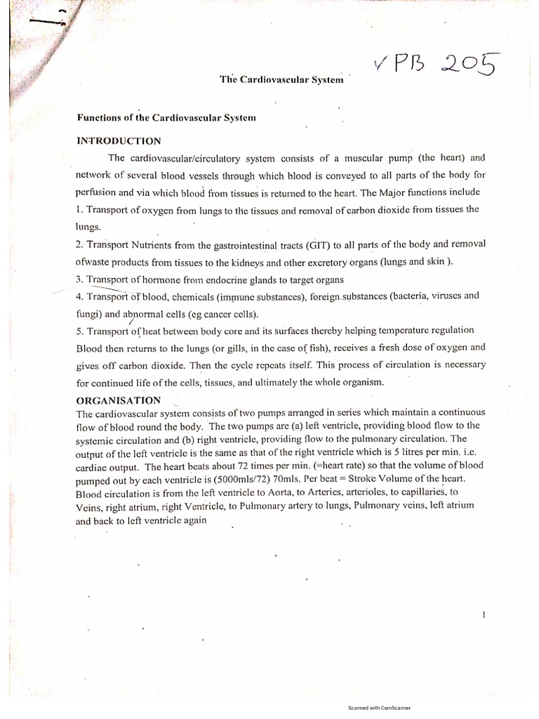 VPB 205 (Cardiovascular System) | PDF