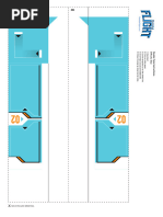 Foldable Flight's Incredible Paper Airplanes | PDF | Aviation | Aircraft