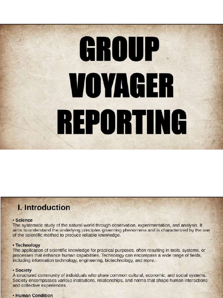 STS Report - GROUP VOYAGER PDF | PDF