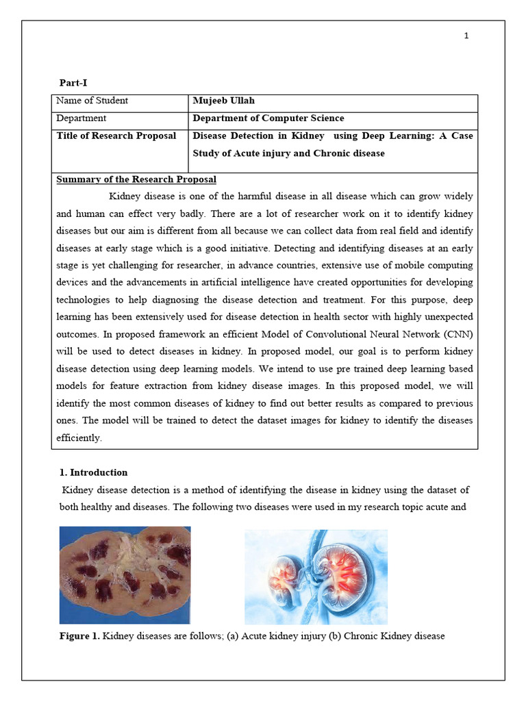 Mujeeb Proposal | PDF