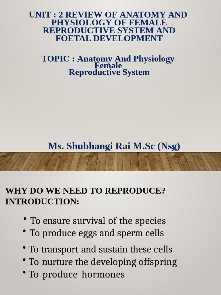 E Notes Female Reproductive System | PDF