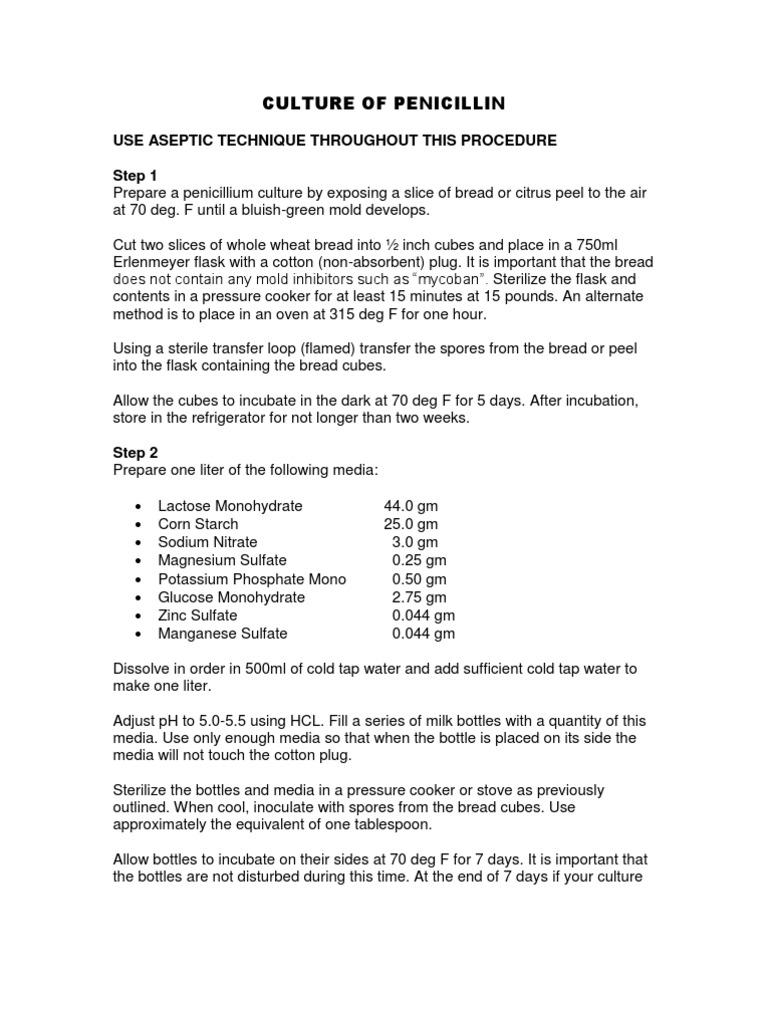 How To Make Penicillin | PDF