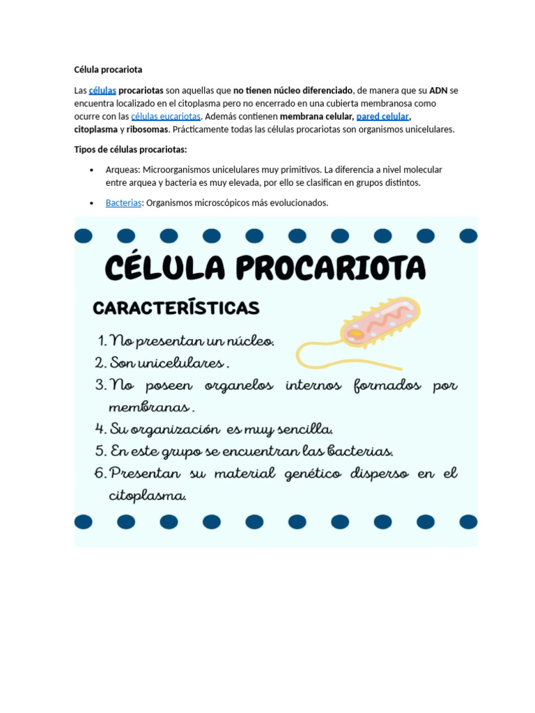 Celulas | PDF