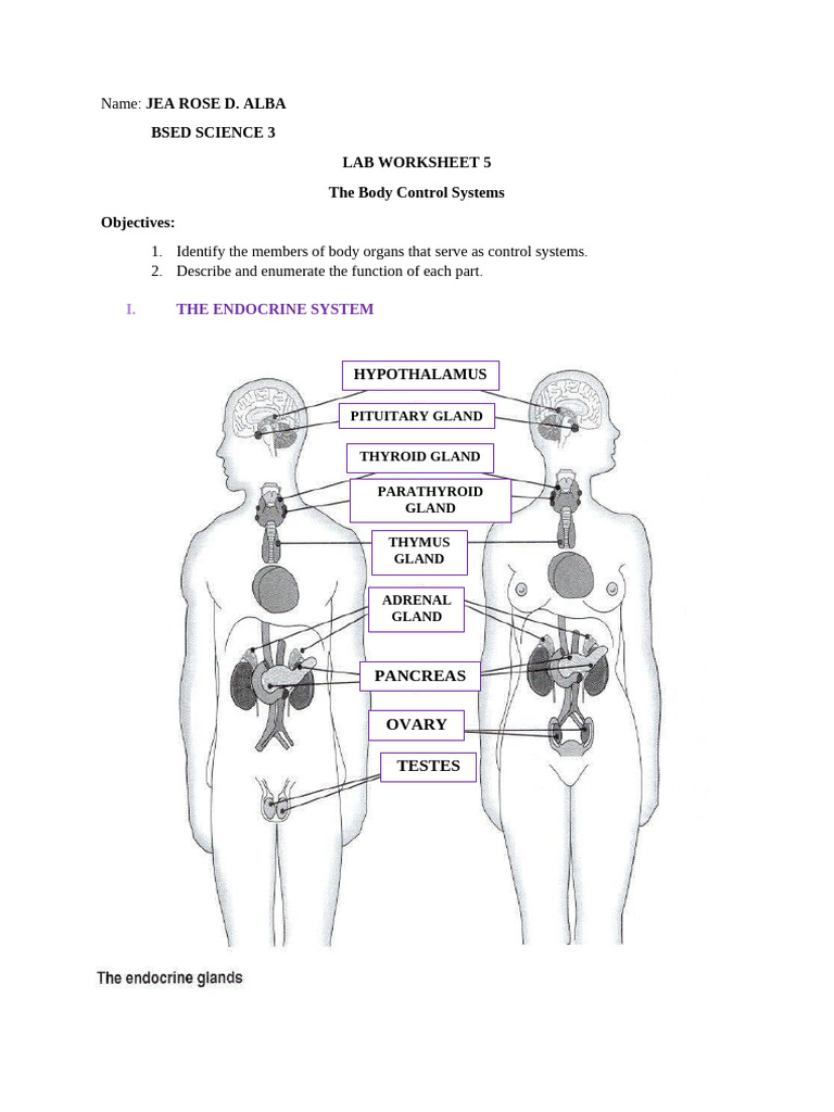 ALBA - Lab Worksheet 5 - Anaphy | PDF