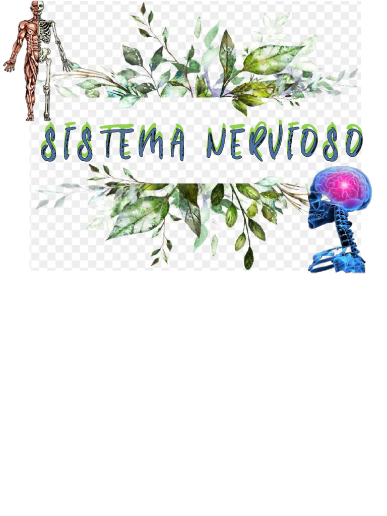 Tarea 04 - Sistema Nervioso | PDF