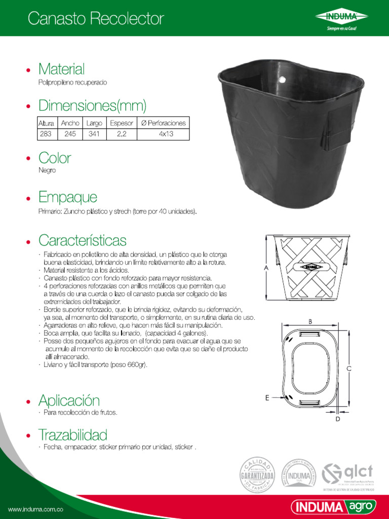 Ficha Canasto Recolector | PDF
