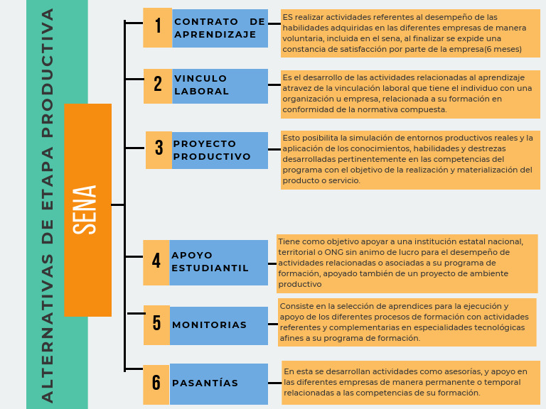 Gráfica Cuadro Sinóptico Etapas Productivas SENA_ | PDF