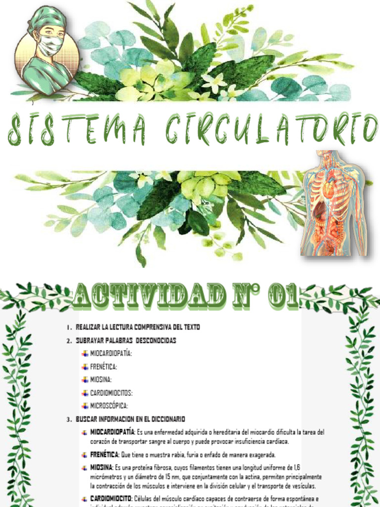 Tarea 07 - Sistema Circulatorio | PDF