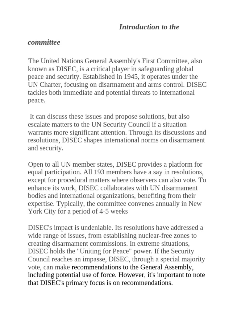 DISEC Guide Hiroshima Nagasaki | PDF