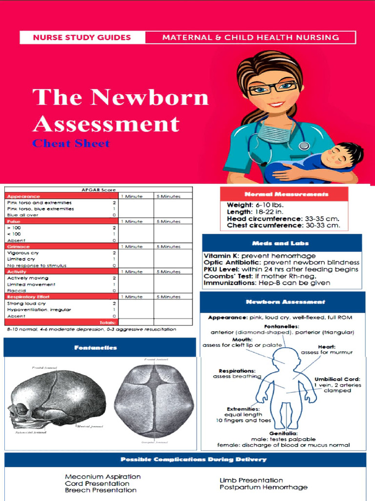 New Born Care Assessment Poster | PDF