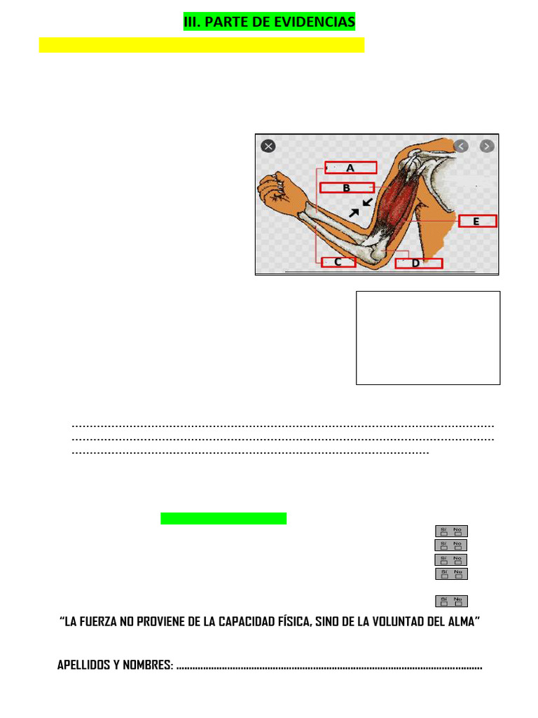 Cuarto B Práctica | PDF