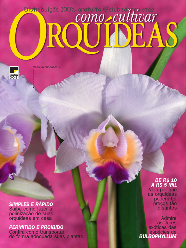 Como Cultivar Orquídeas - Set24 | PDF