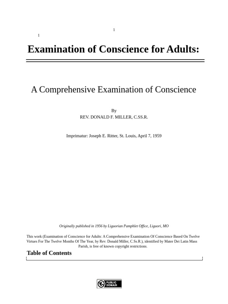 Adult Examination of Conscience | PDF