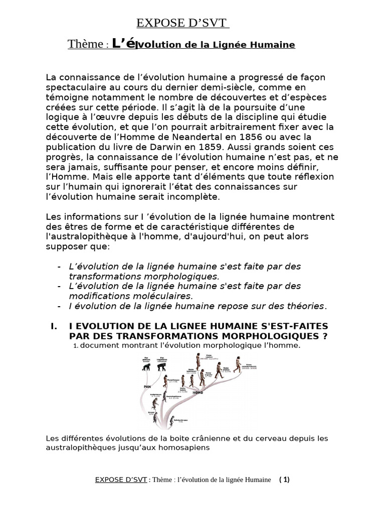 Expose L Evolution De La Lignee Humaine Pdf