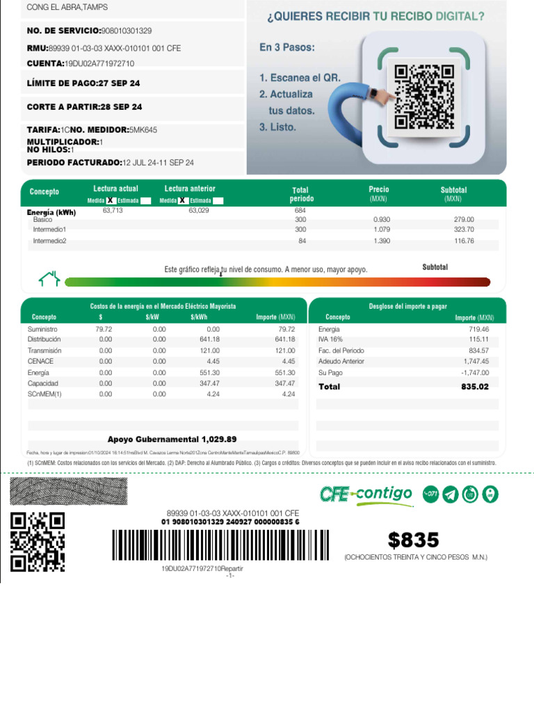 recibo-luz-pdf