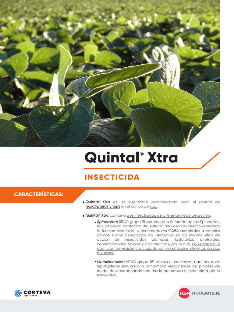Quintal Xtra Soja LA UY V1 | PDF