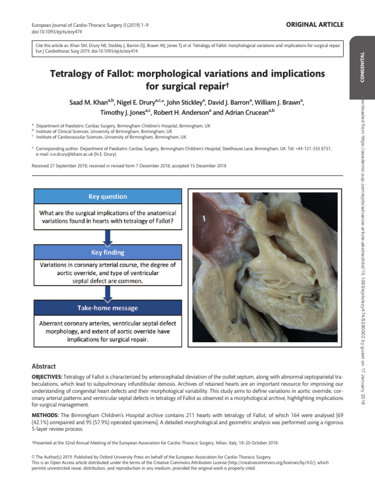Tetralogy of Fallot Morphological Variations and Implications For Surgical Repair | PDF