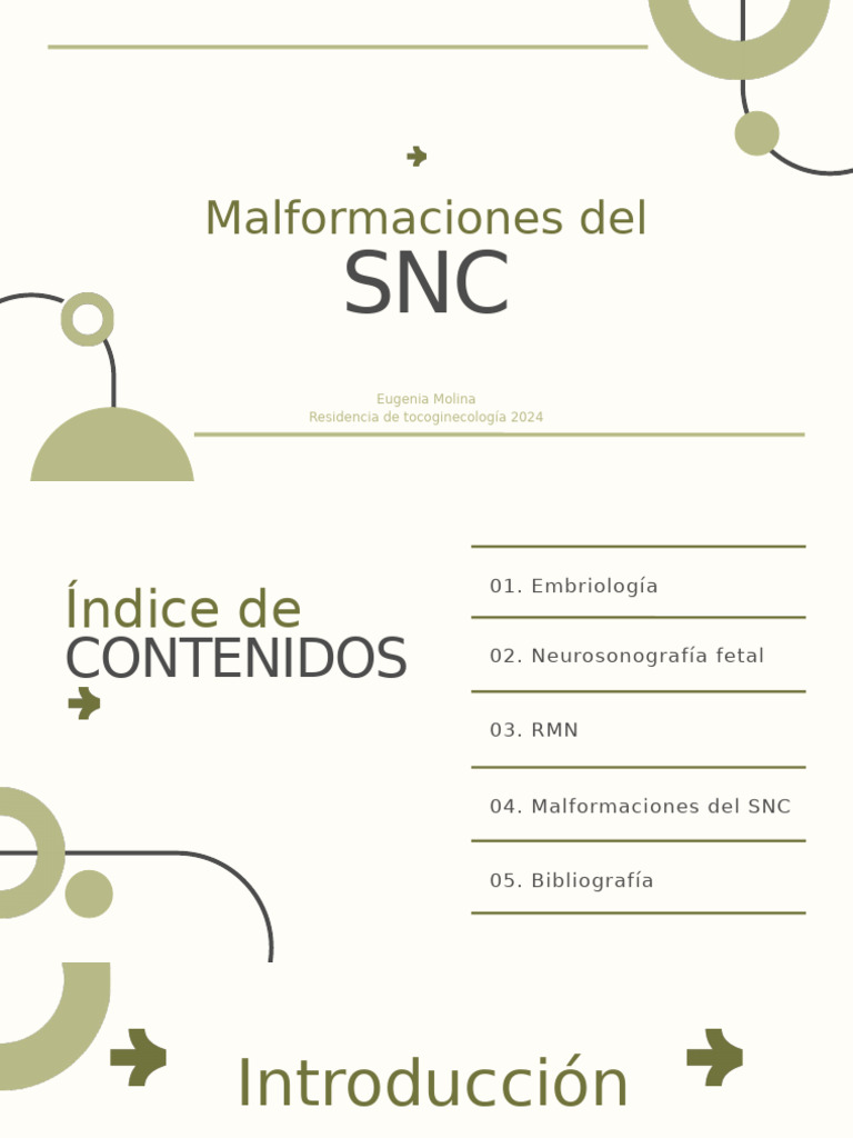 snc | PDF
