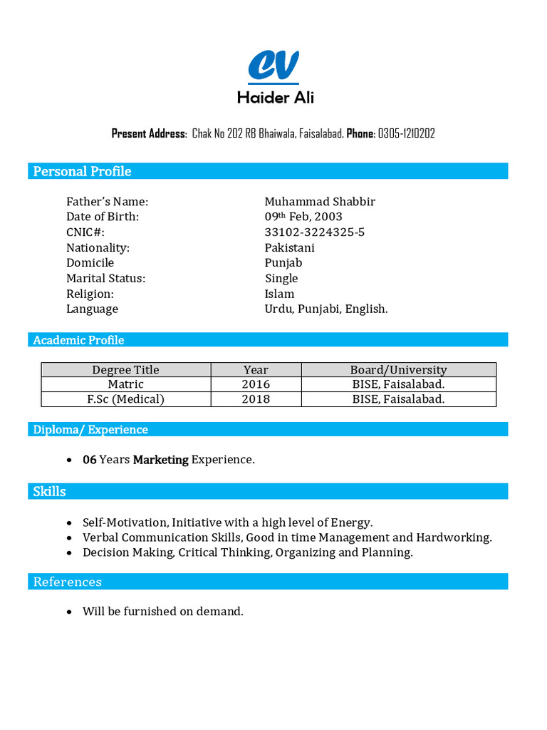 Haider Ali's CV: Marketing Expert | PDF