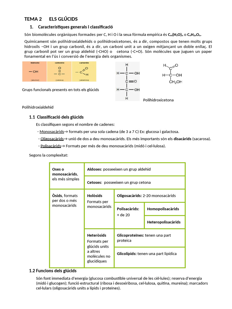 Tema 2 Els Glúcids - 24 - 25 | PDF