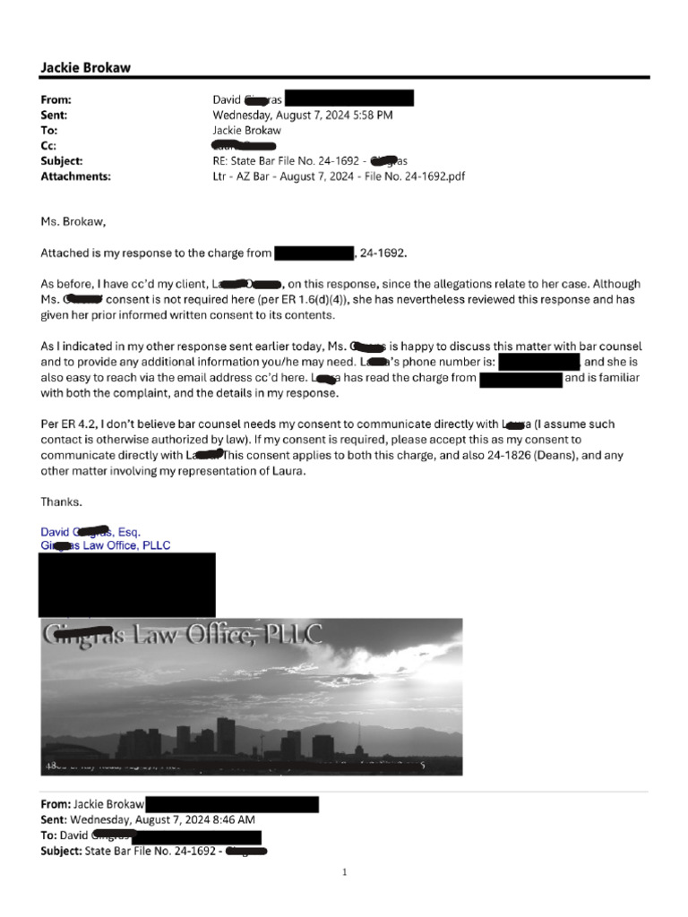 DG Bar Complaint Response - Redacted-1-30 | PDF | Burden Of Proof (Law) | Lawsuit