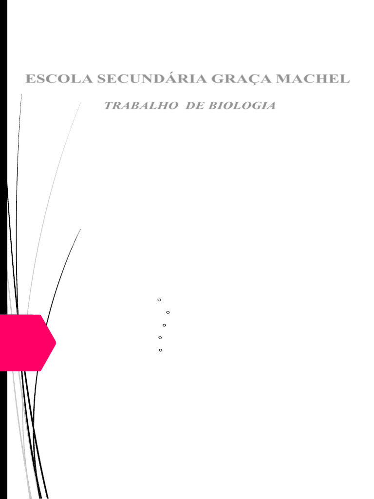 Filo Chordata-1 | PDF