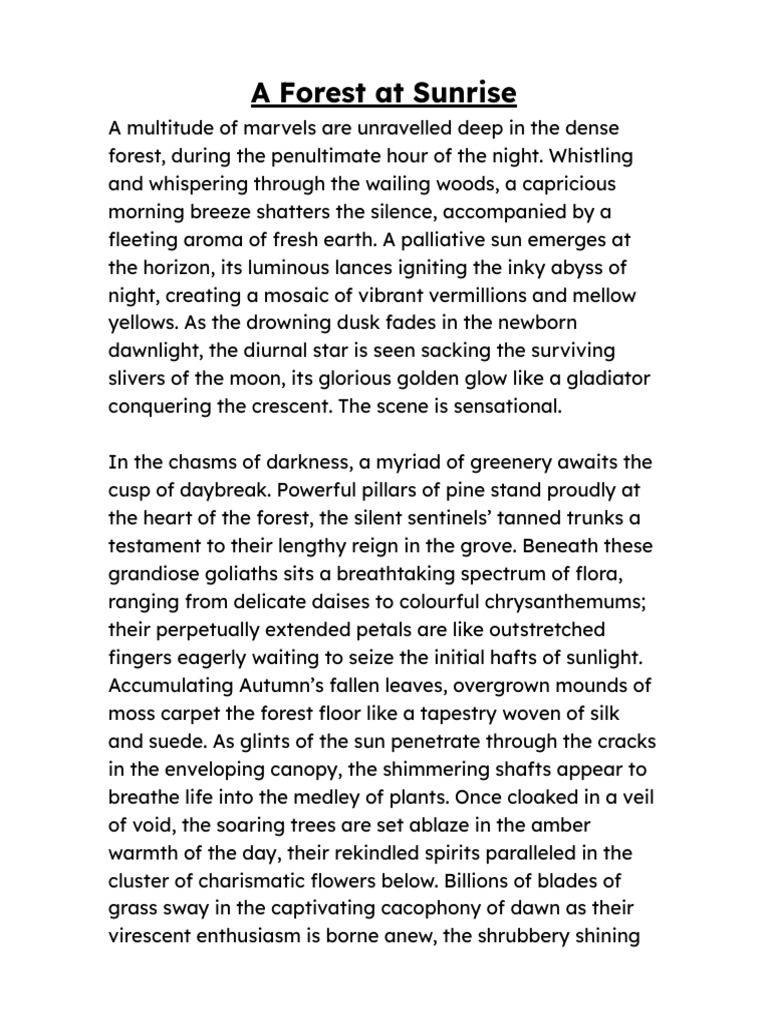 Shayan's Descriptive Writing | PDF