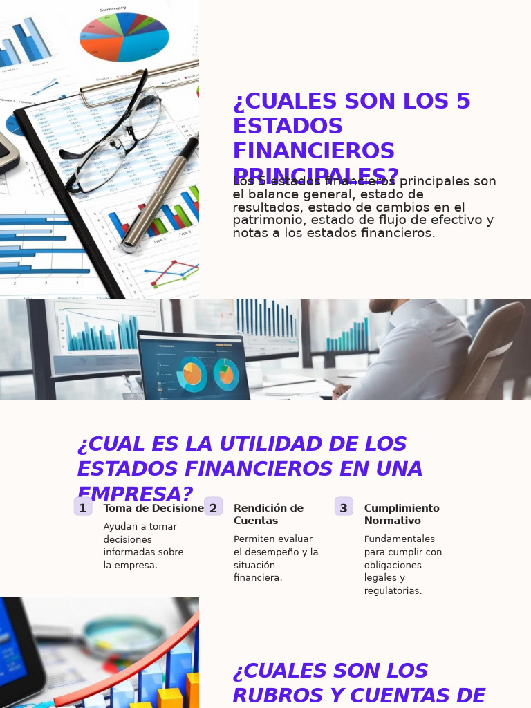 Cuales Son Los 5 Estados Financieros Principales | PDF