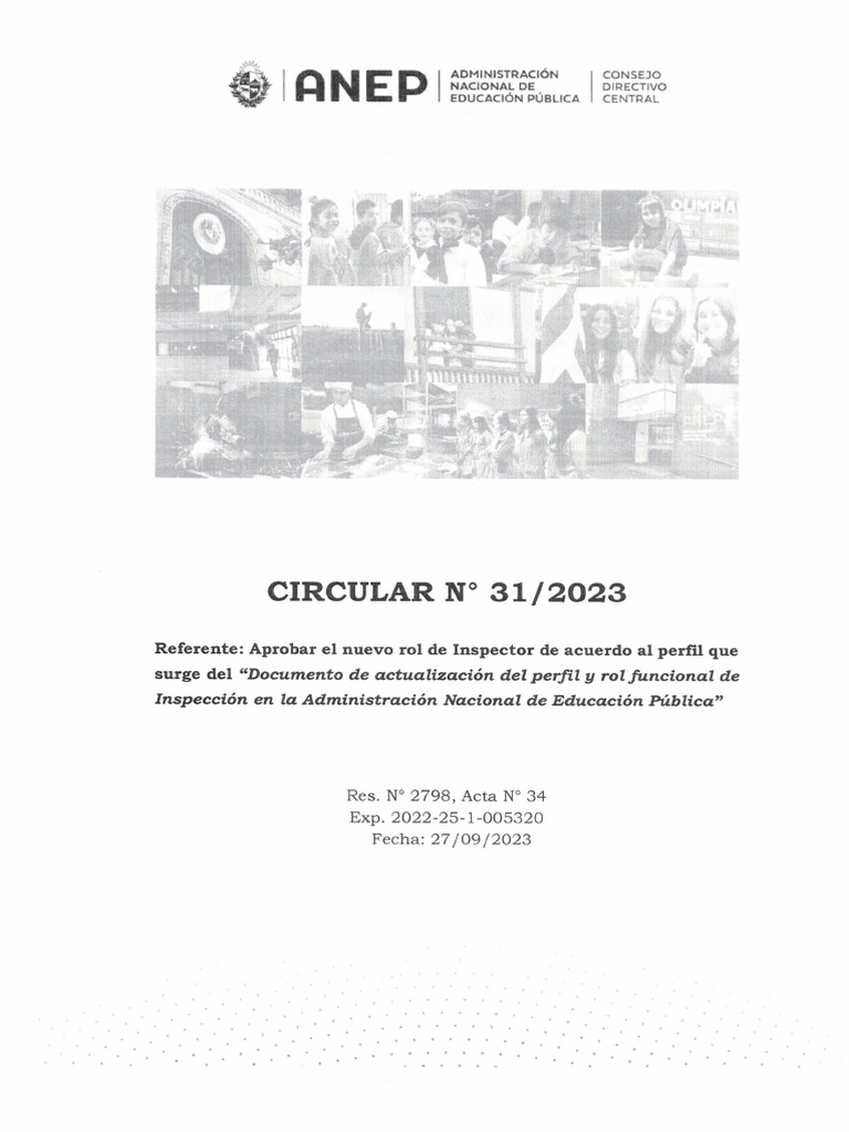 Circular 31-023 - NUEVO PREFIL INSPECTORES | PDF