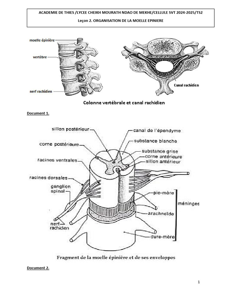 Support 2 Ts2 2025 | PDF