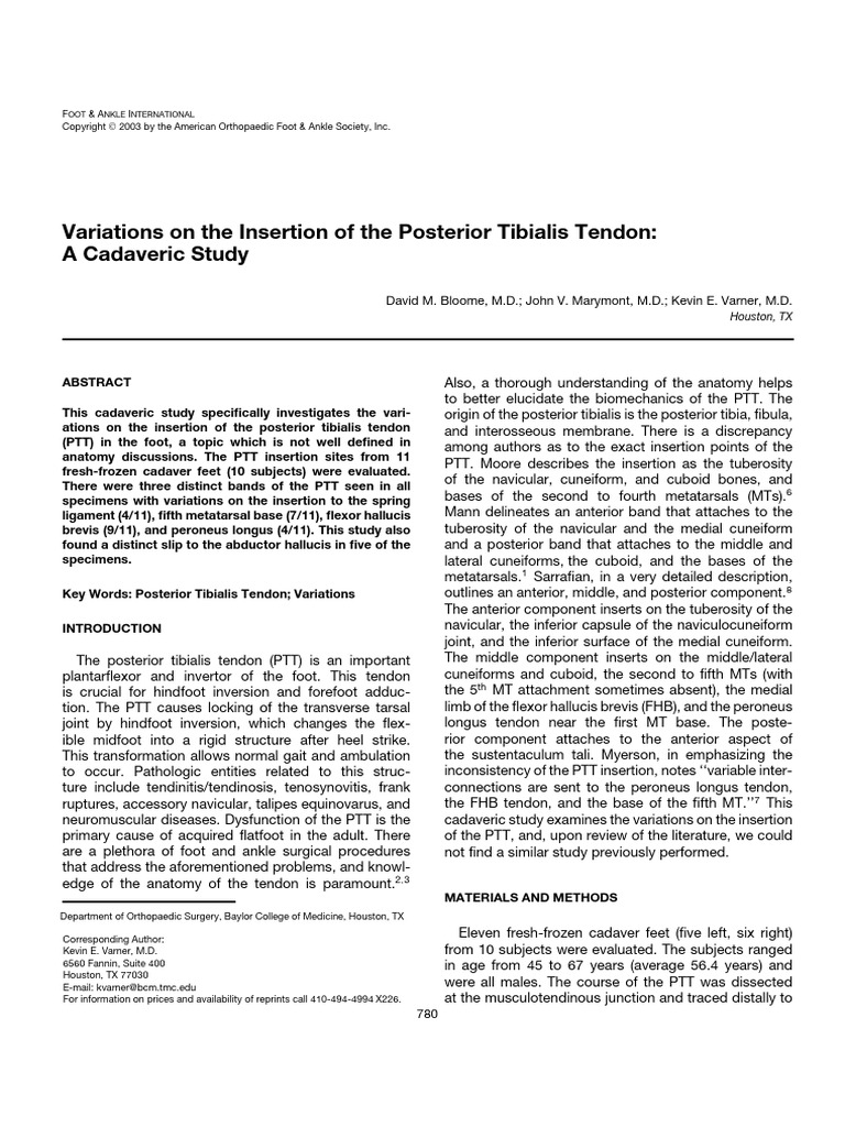 Bloome Variations on the Insertion of the Posterior Tibialis Tendon | PDF