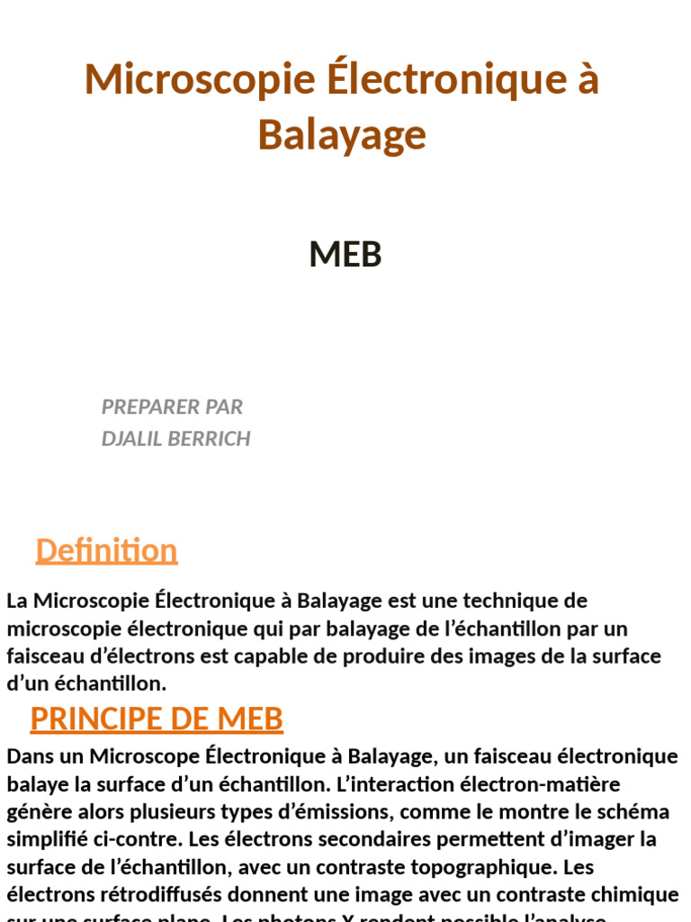 Microscopie Électronique À Balayage | PDF
