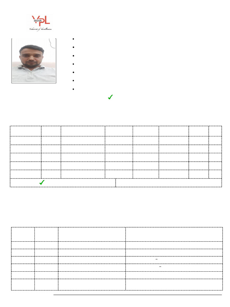 INTERVIEW FORM (VPL) NEW-1 | PDF