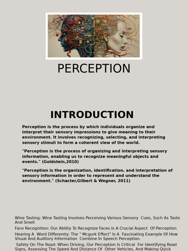 Perception | PDF
