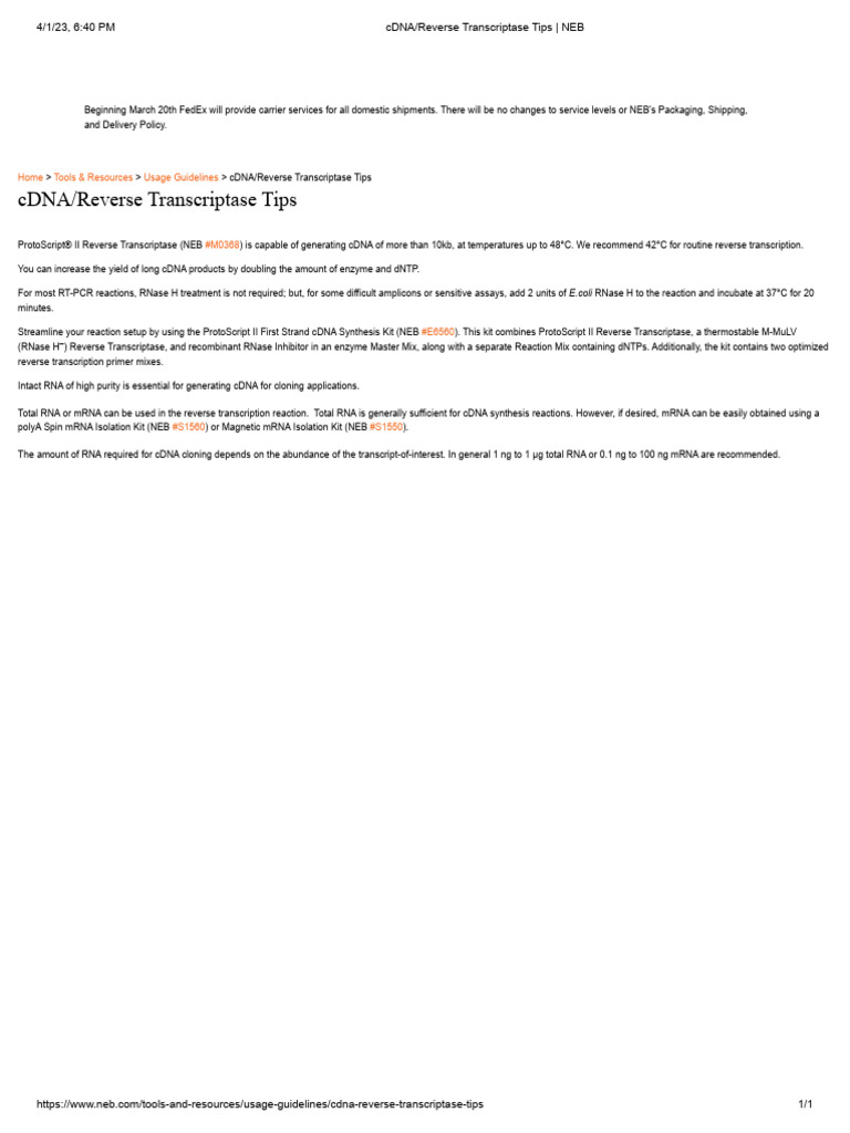 cDNA - Reverse Transcriptase Tips - NEB | PDF